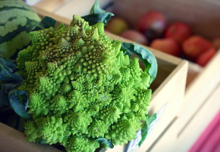 Top 10 lesser known vegetables in the world - The Mysterious World