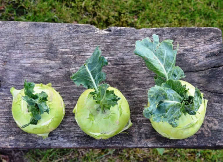 Top 10 lesser known vegetables in the world - The Mysterious World