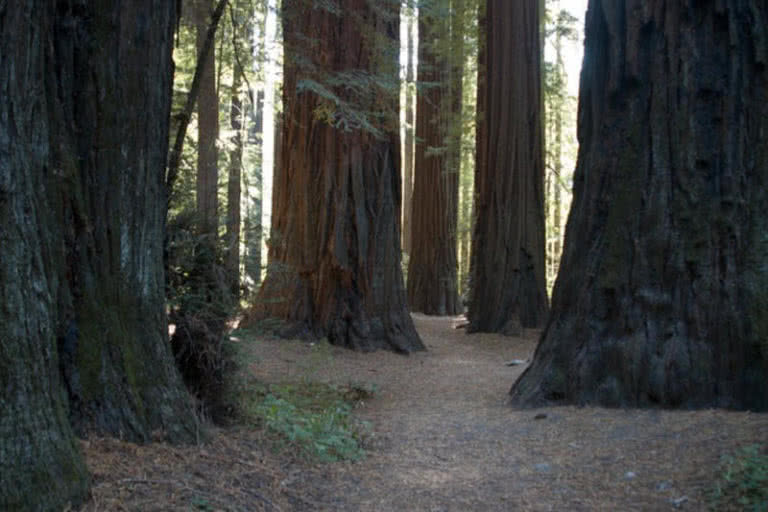 Top 10 Awe-Inspiring Natural Wonders of United States - The Mysterious ... Top 10 Awe-Inspiring Natural Wonders of United States - The Mysterious ...