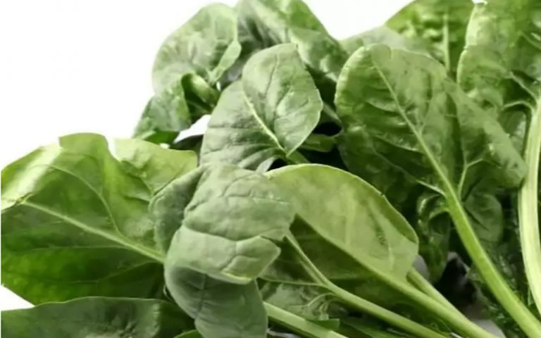 Top 10 Most Expensive Vegetables in the World - The Mysterious World